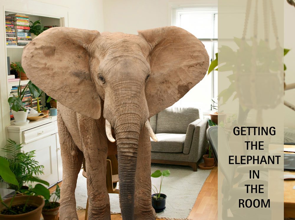Getting the elephant in the room! - Church Society